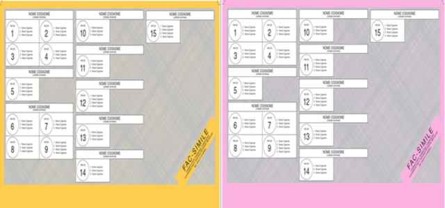 Fac simile schede elettorali, come sono?/ Colori: rosa Camera, giallo ...